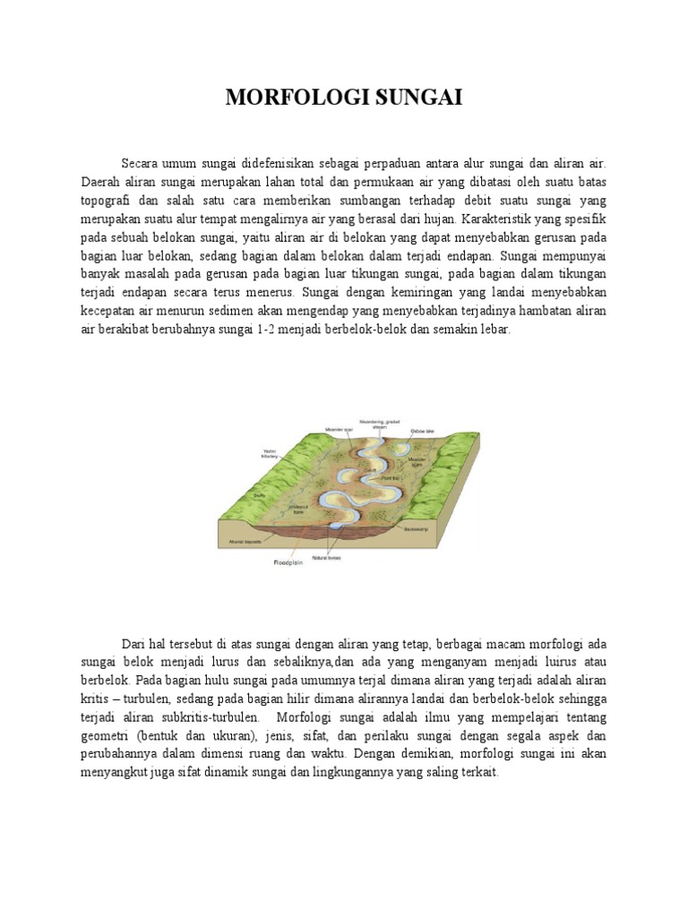Morfologi Sungai | PDF | Ilmu Sosial | Sains & Matematika