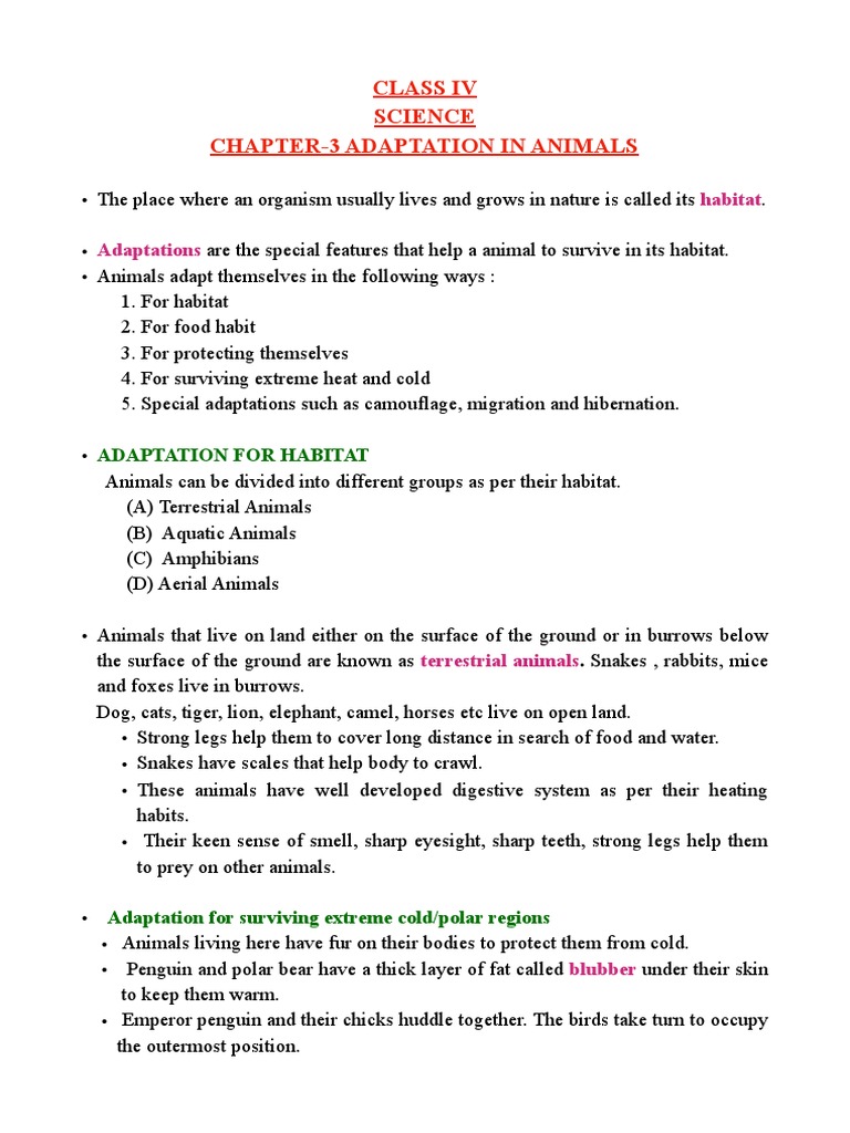 Adaptations that Promote Survival: Exploring the Various Ways Animals ...