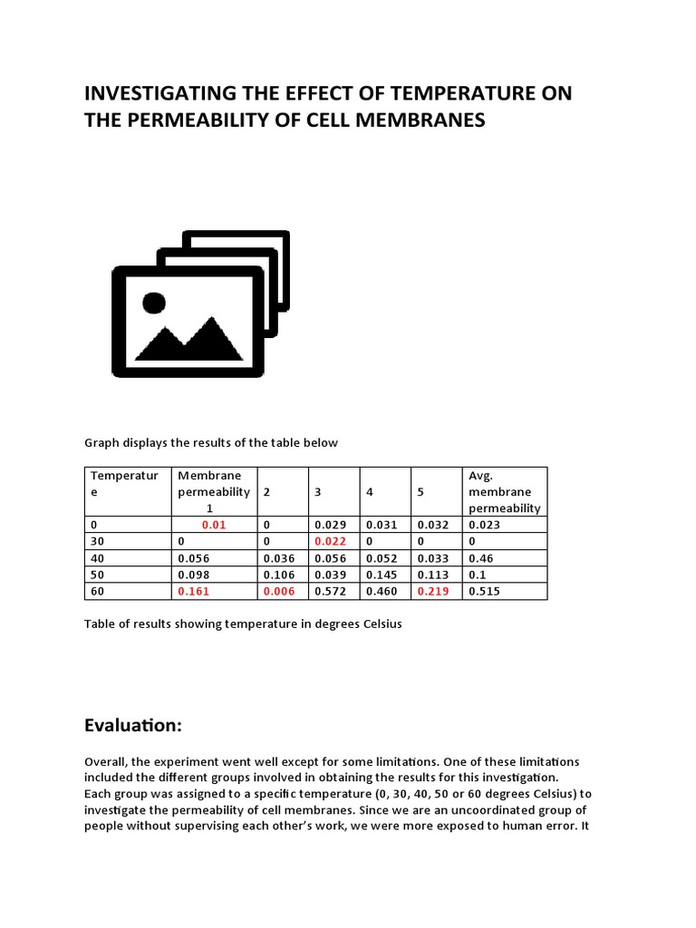 Lab Report Beetroot | PDF | Cell Membrane | Experiment