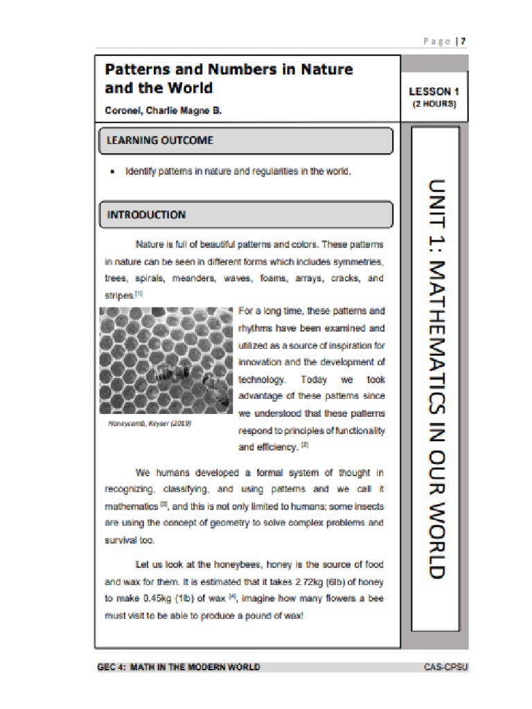 LESSON 1. PATTERNS AND NUMBERS IN NATURE AND THE WORLD Activity 1-3 | PDF