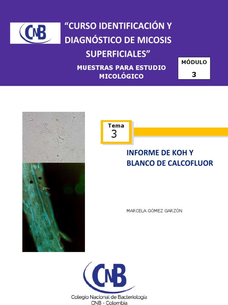 MODULO 3 Tema 3 | PDF | Microbiología | Enfermedades animales