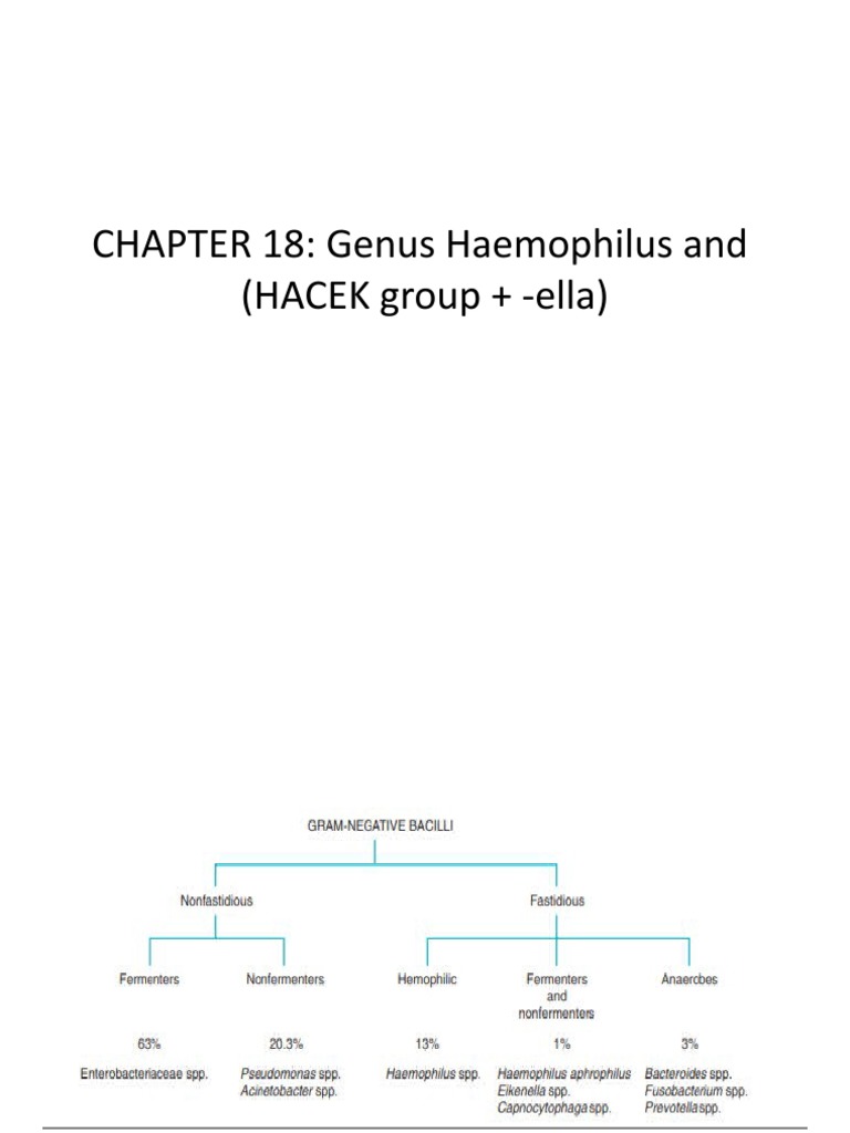 Haemophilus & HACEK Bacteria Guide | PDF | Microbiology | Bacteria