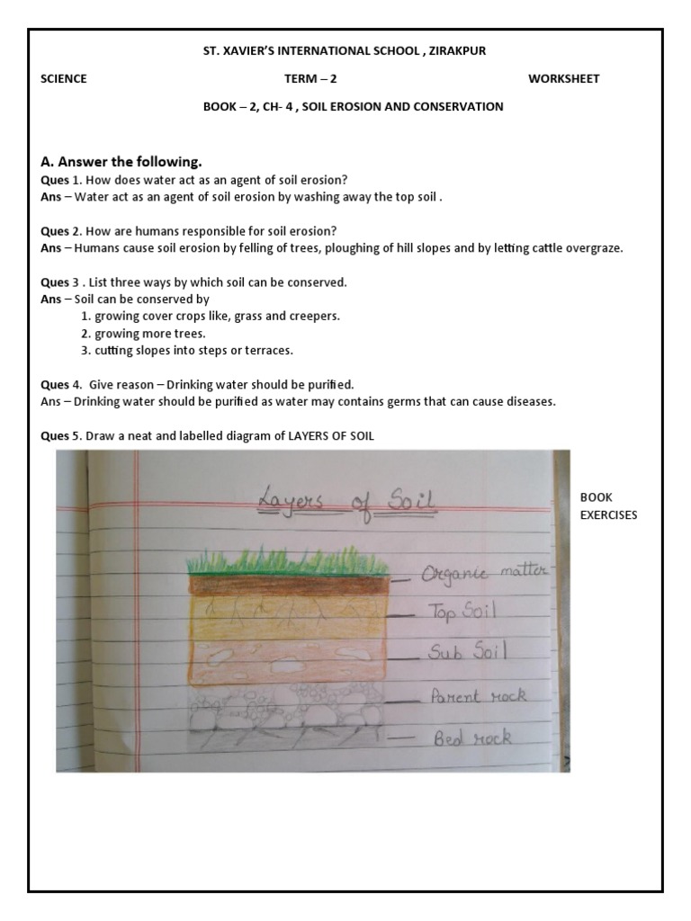 Soil Erosion QA and Exercises | PDF