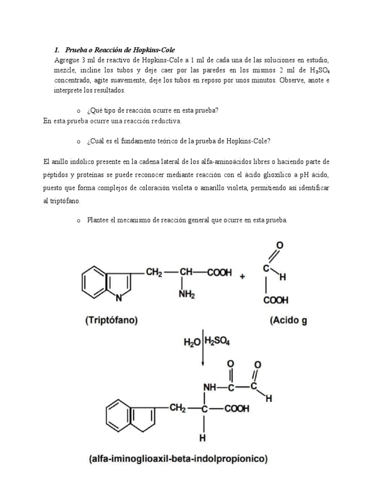 Prueba de Hopkins-Cole para Triptófano | PDF | Aminoácidos | Proteínas