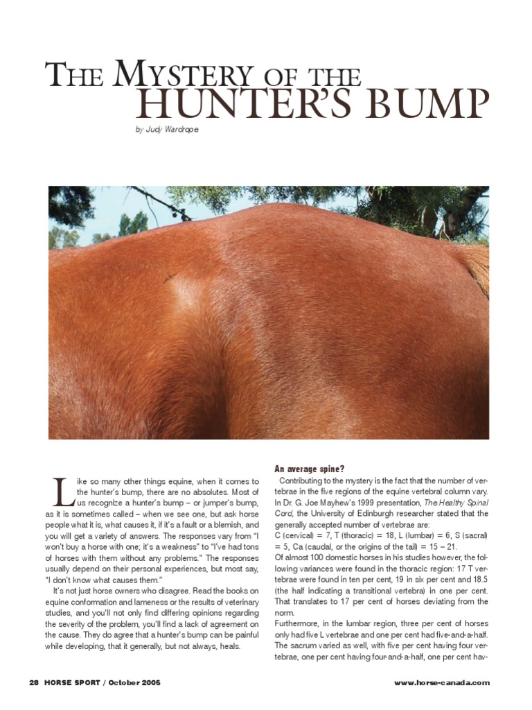 Hunters Bump | PDF | Vertebral Column | Vertebra