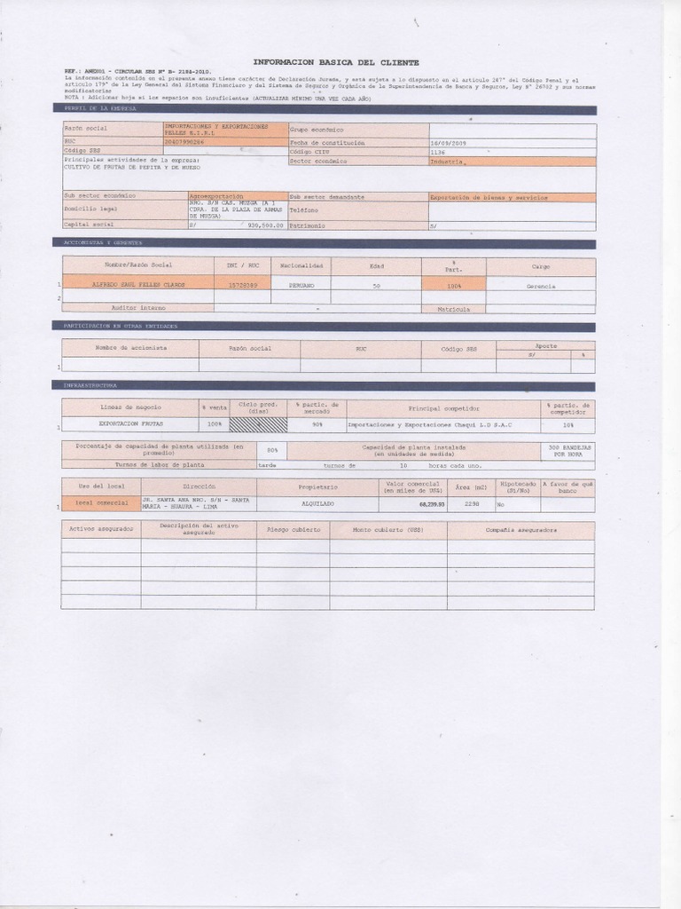 Formato IBC Final | PDF