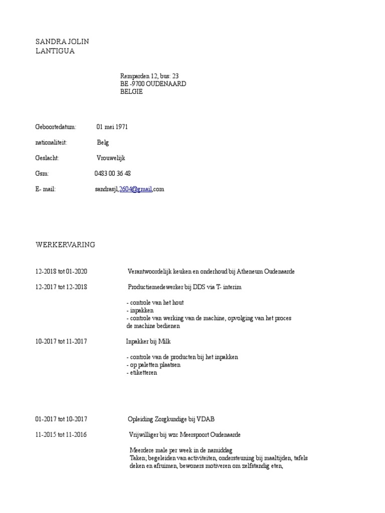 CV Sandra | PDF