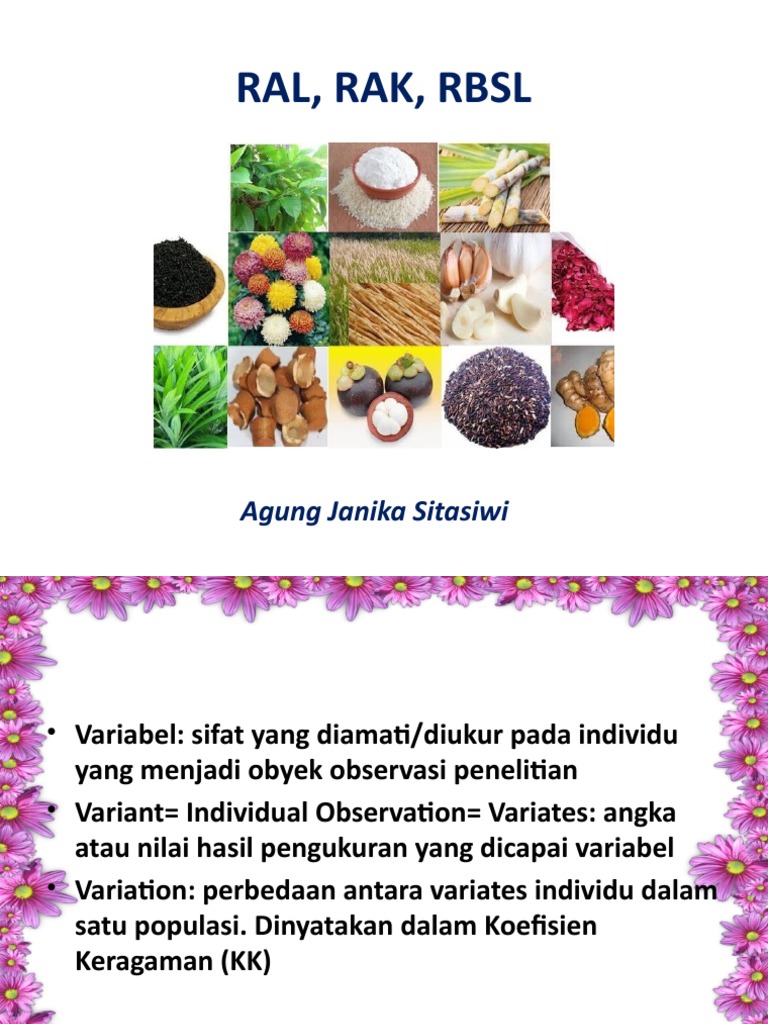 Ral, Rak, RBSL | PDF