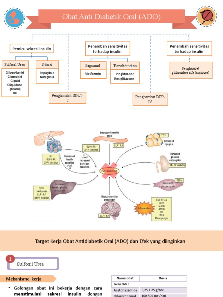 Mekanisme Obat Diabetes Melitus | PDF