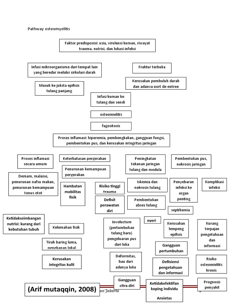 Dokumen - Tips Pathway Osteomielitis | PDF