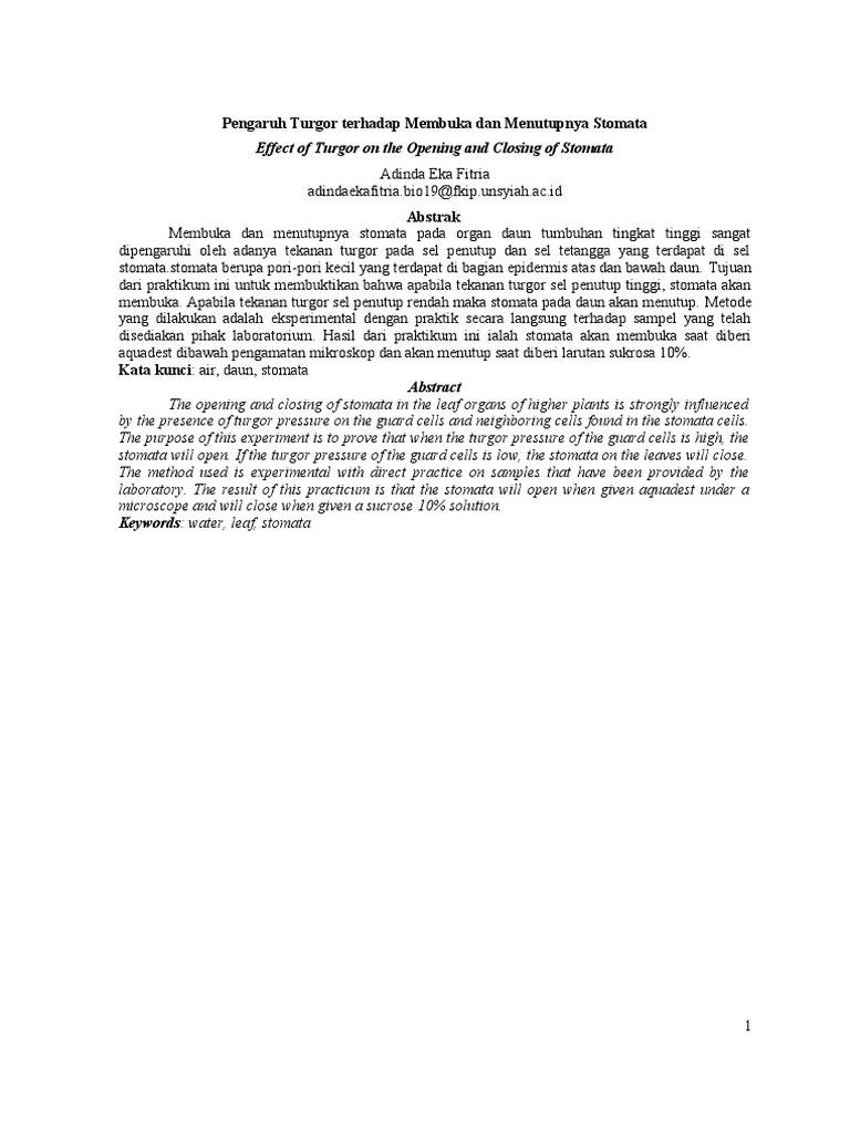 Turgor Stomata Adin | PDF