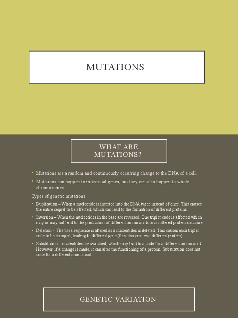 Genetic Mutations - GCSE Biology | PDF | Genetics | Mutation