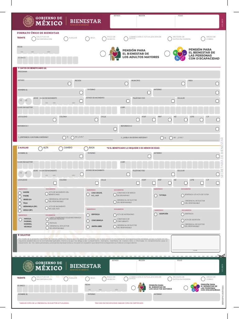 Formato Unico Del Bienestar 2021 | PDF | Adopción Formato Unico Del Bienestar 2021 | PDF | Adopción
