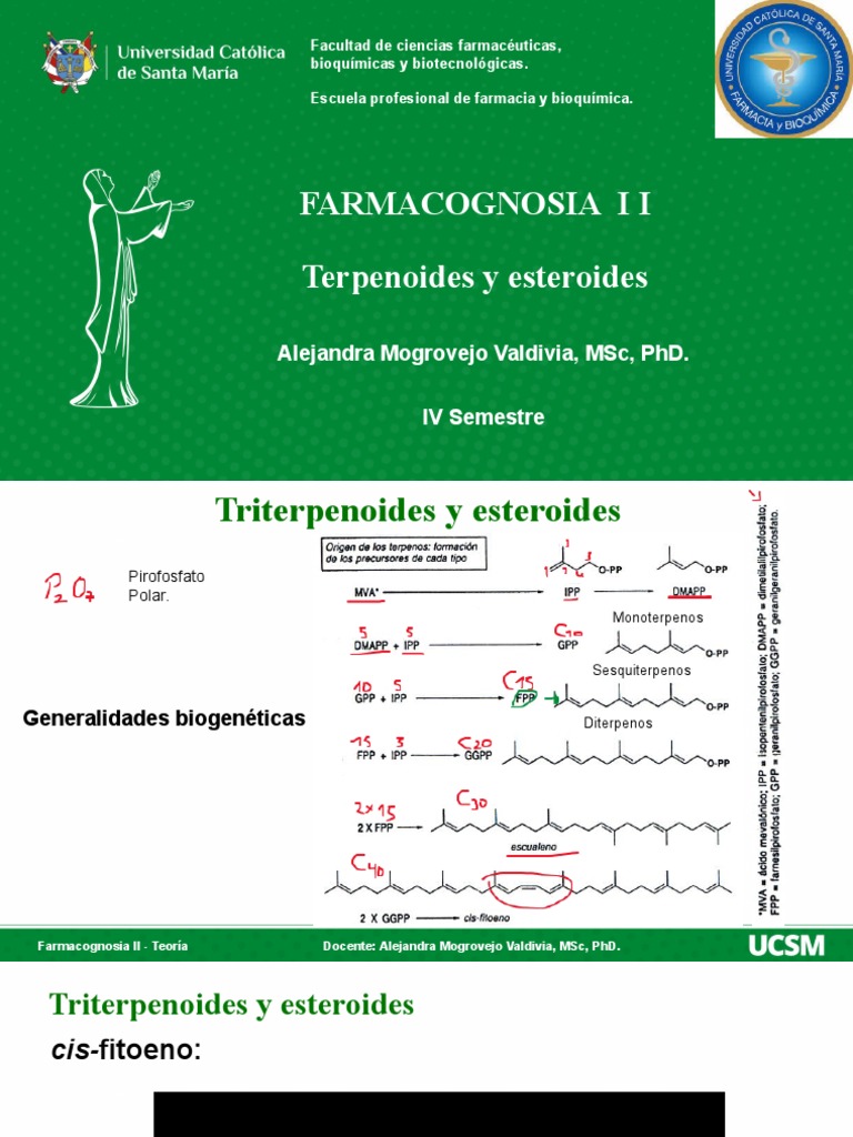 Farmacognosia Ii Diapositivas Terpenos Y Esteroides Pdf