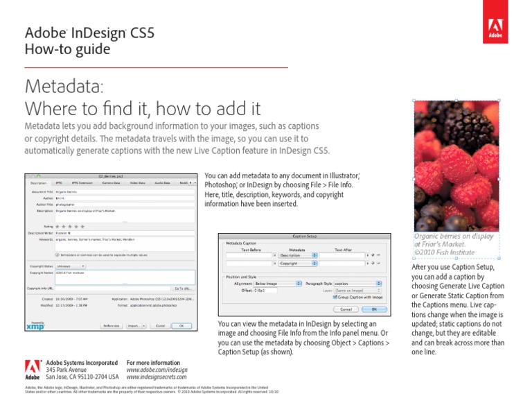 Metadata: Where To Find It, How To Add It | PDF | Adobe Photoshop ...