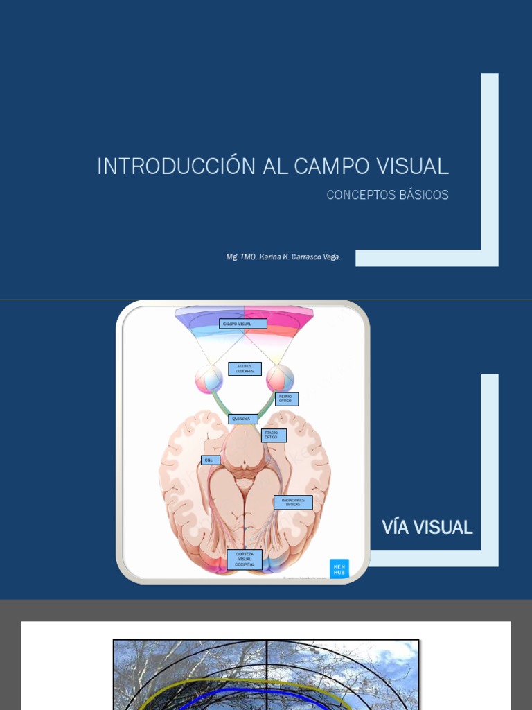 Introducción Al Campo Visual | PDF | Ligero | Percepción visual