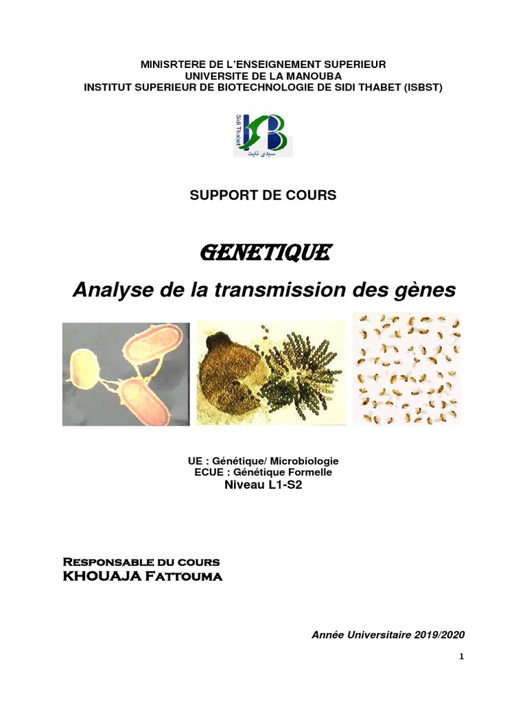671 Genetique Formelle Analyse de La Transmission Des Genes | PDF ...