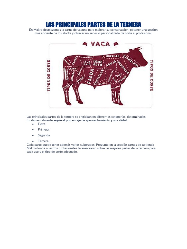 Las Principales Partes de La Ternera | PDF | Cocina | Carne de vaca