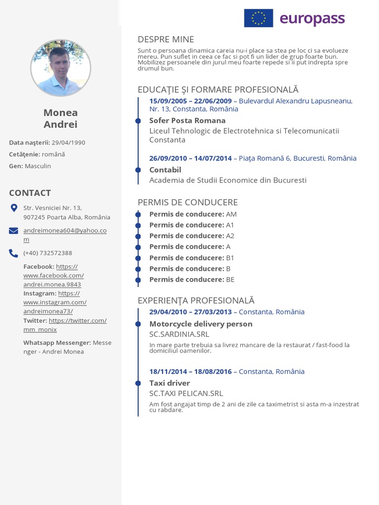 CV Curier Monea Andrei | PDF