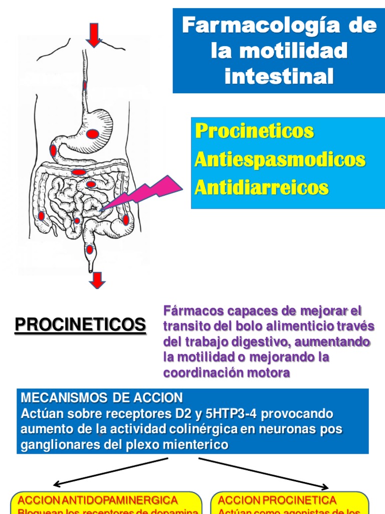Farmacologia de La Motilidad Intestinal | PDF | Diarrea | Acetilcolina