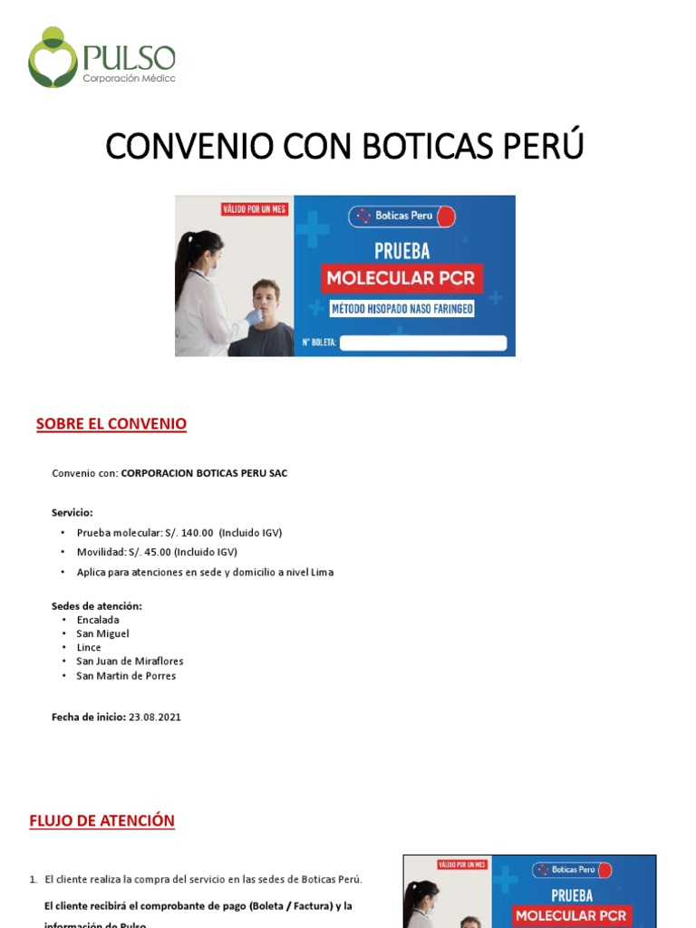 Boticas Perú | Descargar gratis PDF | Tecnologías de la información ...