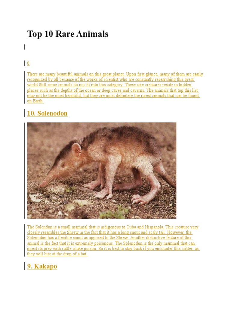 Top 10 Rarest Animals on Earth | PDF | Home & Garden