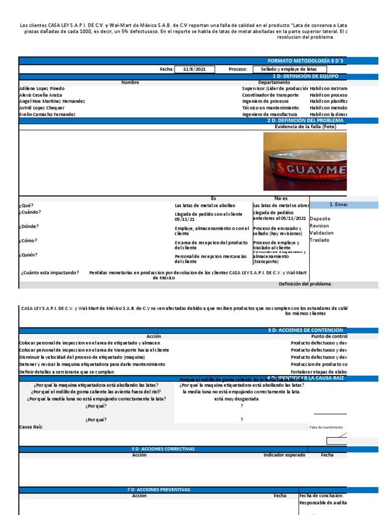 Formato 8D | Descargar gratis PDF | Logística | Economias