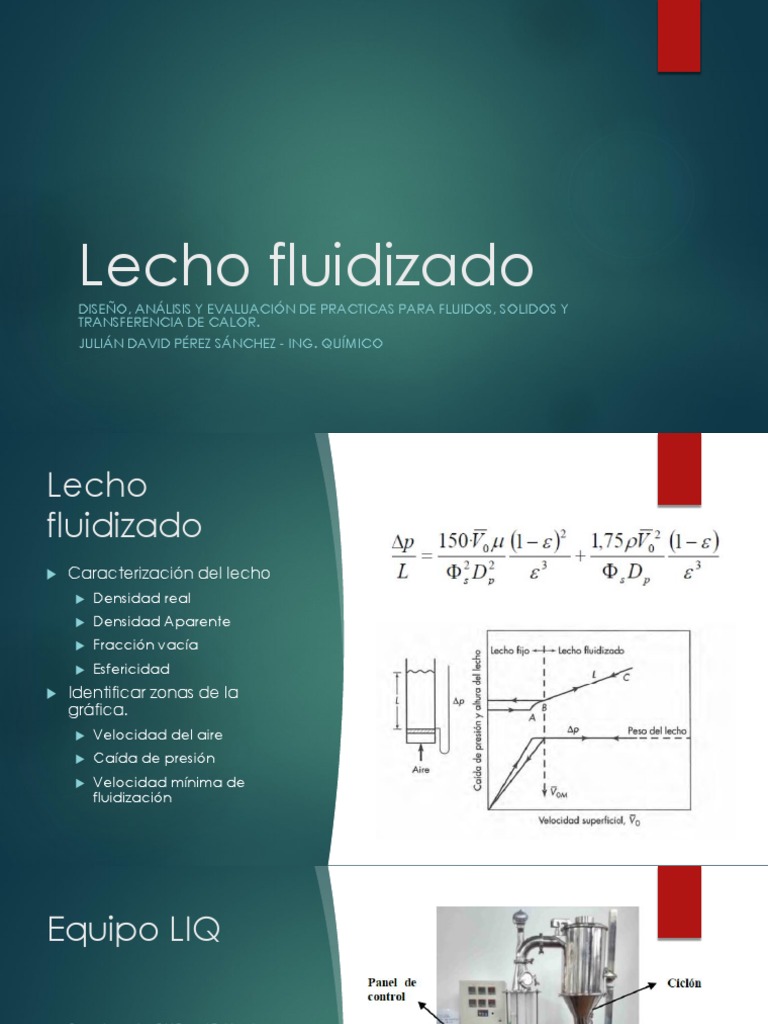 Lecho Fluidizado | PDF | Ingeniería Química | Termodinámica