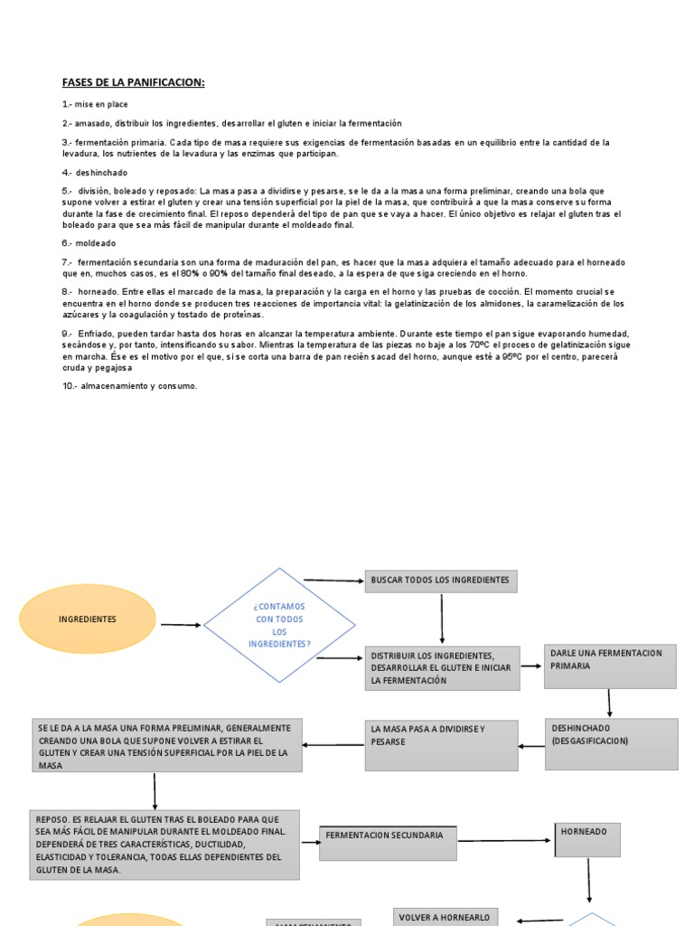 Fases de La Panificacion | PDF | Panes | Comida y bebida