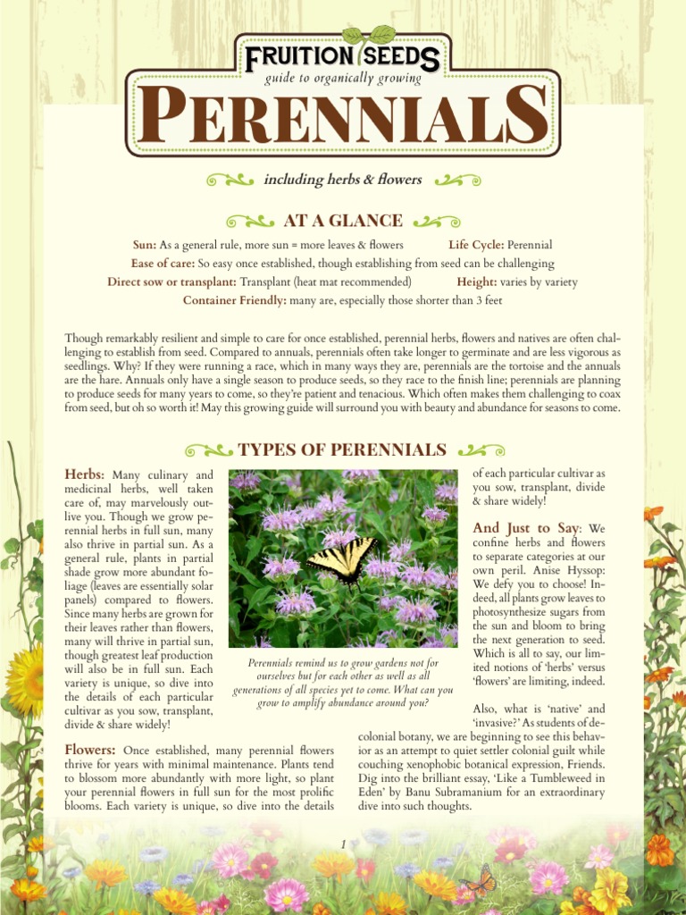 At A Glance: Including Herbs & Flowers | PDF | Seed | Perennial Plant