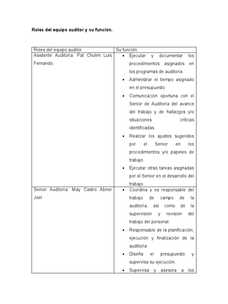 Roles Del Equipo Auditor y Su Función | PDF | Auditoría | Presupuesto