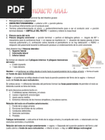 Anatomía y Fisiología Anorectal | PDF | Recto | Sistema digestivo