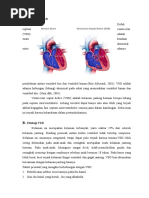 Ventricular Septal Defect (Icd 10 Q21.0) | PDF | Sains & Matematika