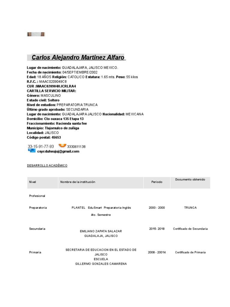 Curriculum Alejandro | PDF