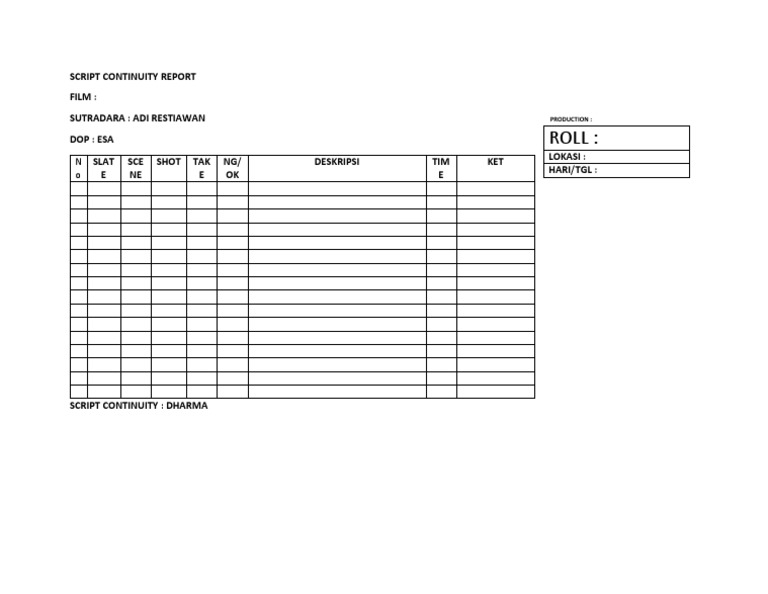 Script Continuity Report | PDF