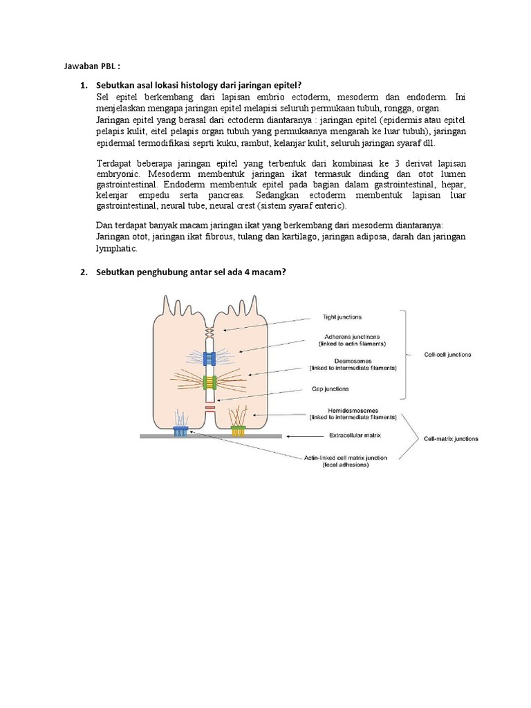 Jawaban PBL | PDF | Ilmu Sosial | Sains & Matematika