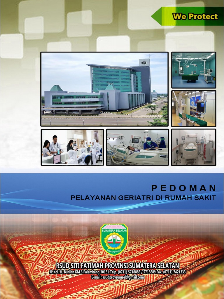 Pedoman Pelayanan Geriatri | PDF