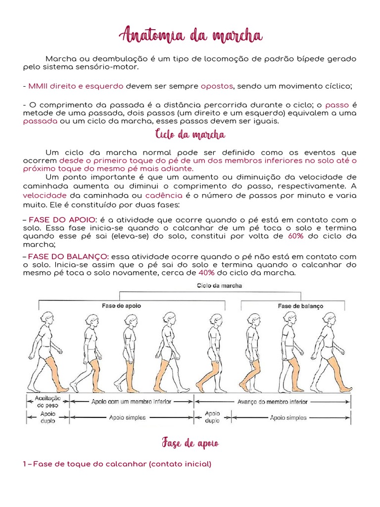Marcha - Anatomia e Movimento | PDF | Pé | Joelho
