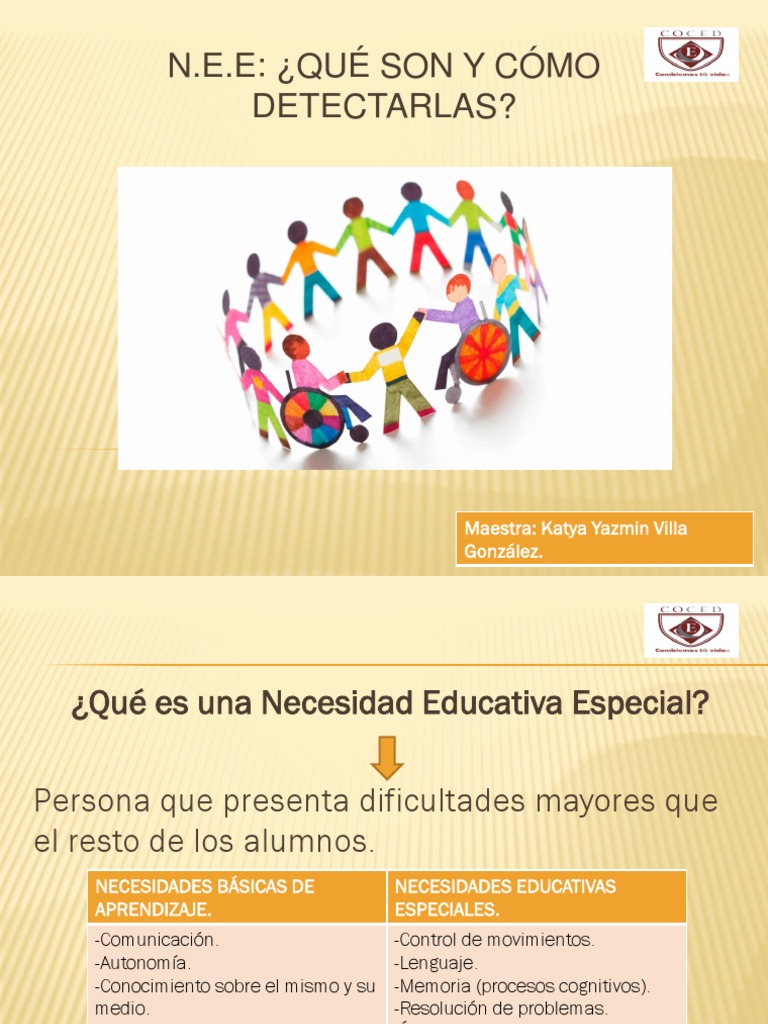 N.E.E.qué Son y Cómo Detectarlas | PDF