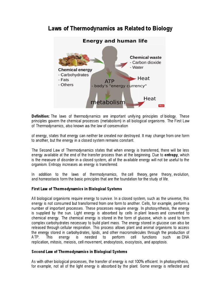 Thermodynamics Principles in Biology | PDF | Biology | Organisms