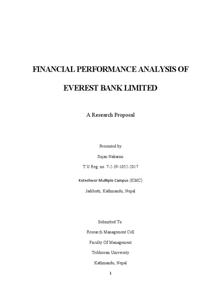 Sujan Draft | PDF | Income Statement | Balance Sheet
