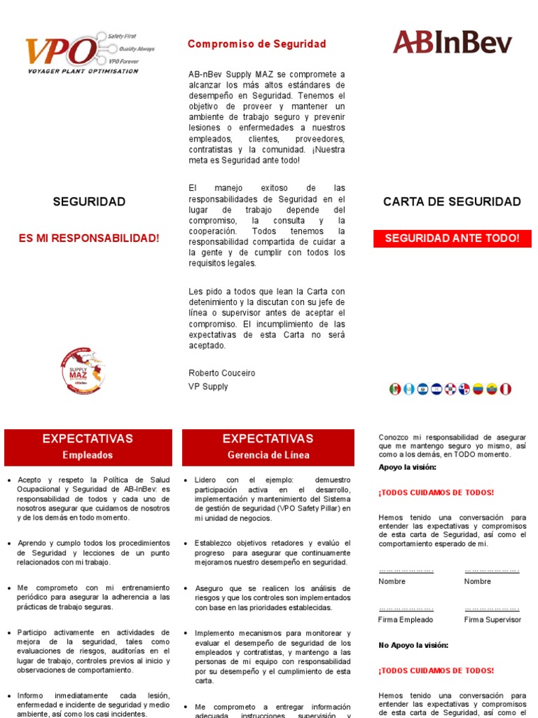 09 - VPO - SAFE.3.3.01.1. Carta de Seguridad | PDF