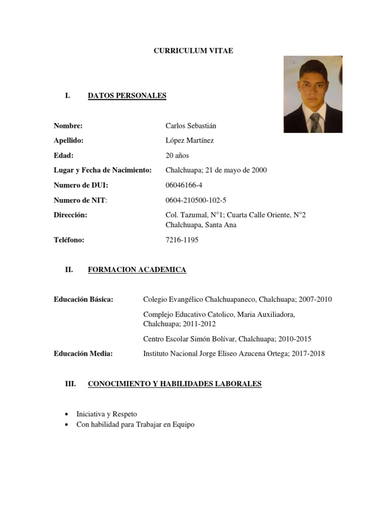 CURRICULUM VITAE Carlos | PDF