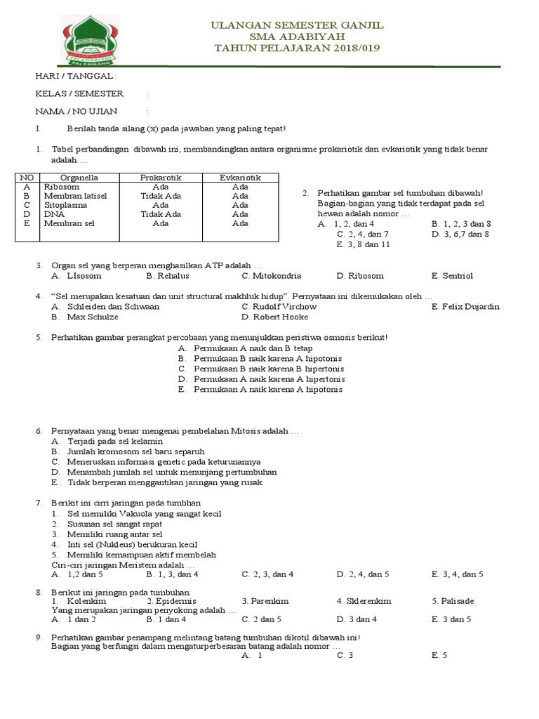 Soal Ka Faizah | PDF
