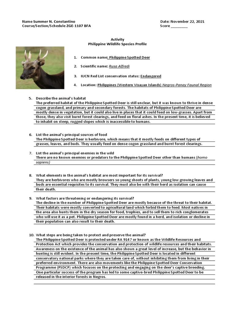Philippine Wildlife Species Profile Activity | PDF | Organisms ...