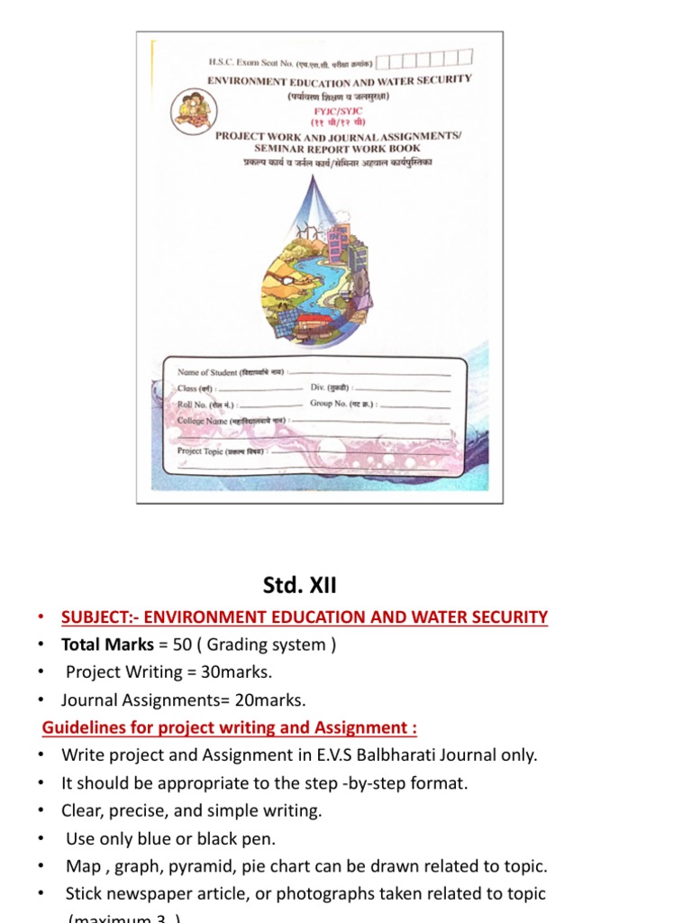EVS Project and Assignment Instructions | PDF