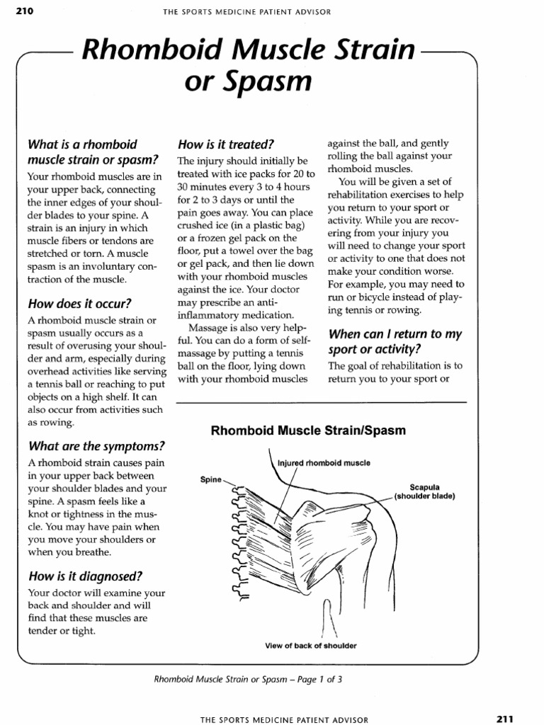 Rhomboid Strain | PDF