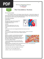 Blood and Circulation, iGCSE Biology | PDF | Circulatory System ...
