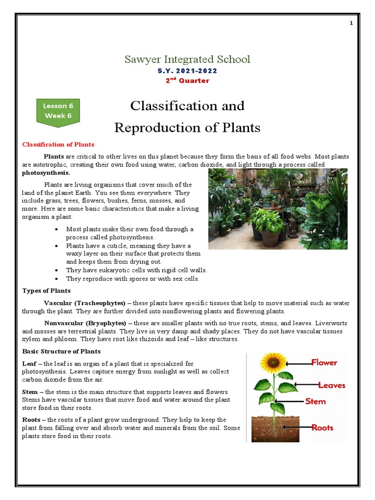 Science 6 - Week 6 - 2nd Quarter | PDF | Flowers | Seed