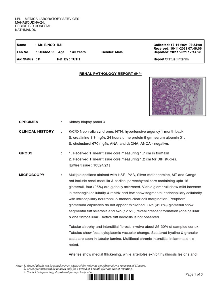Renal Pathology Report at : LPL - Medica Laboratory Services Mahaboudha ...